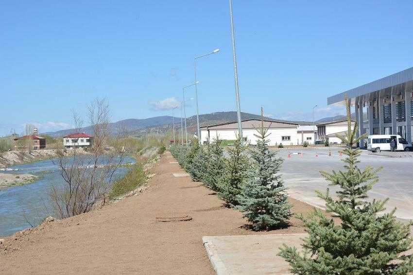 Kelkit Baştan Aşağı Yeşilleniyor